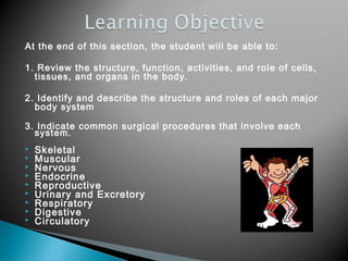 Chapter 3 anatomy and physiology | PPT