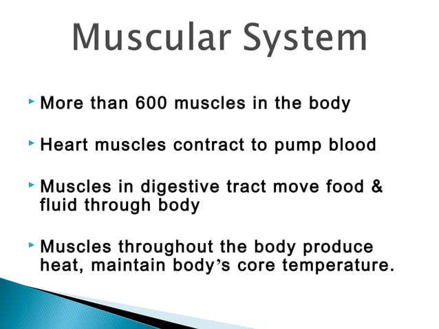 Chapter 3 anatomy and physiology | PPT