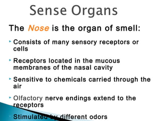 Chapter 3 anatomy and physiology | PPT