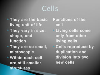 Chapter 3 anatomy and physiology | PPT