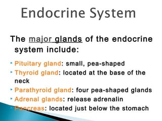 Chapter 3 anatomy and physiology | PPT