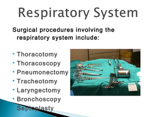 Chapter 3 anatomy and physiology | PPT