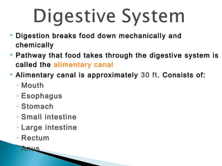 Chapter 3 anatomy and physiology | PPT