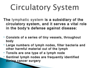 Chapter 3 anatomy and physiology | PPT