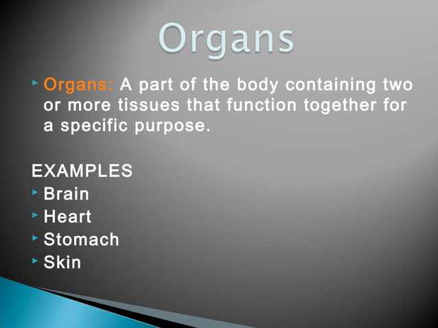 Chapter 3 anatomy and physiology | PPT