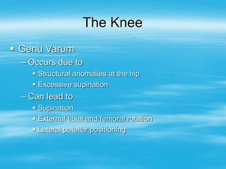 Chapter 3 - Assessment of Posture.ppt
