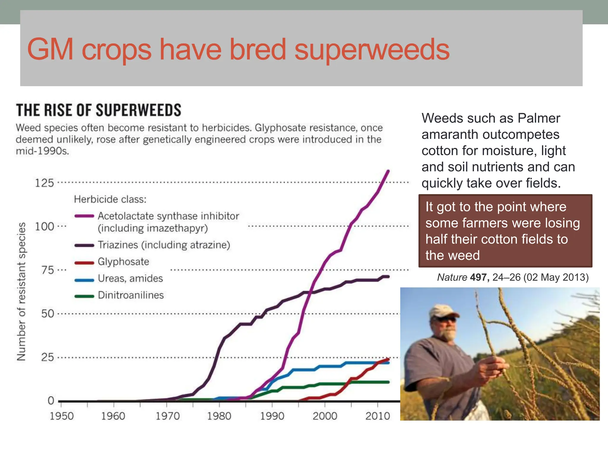 Case study -biotechnology in food and beverages industry | PPTX