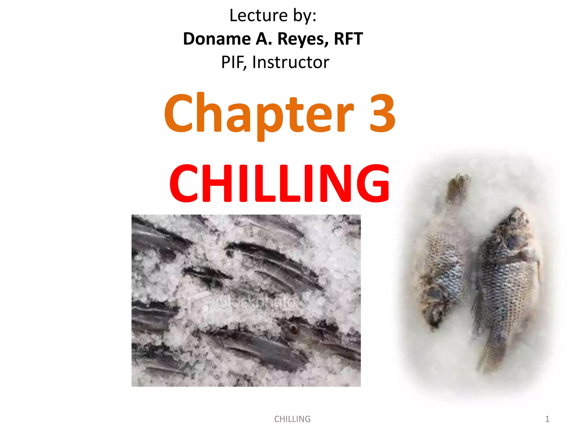 Chilling | PPTX
