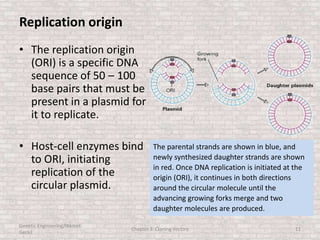 Chapter 3 cloning vectors | PPT