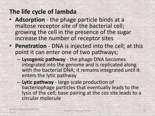 Chapter 3 cloning vectors | PPTX