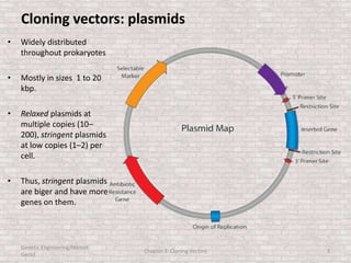 Chapter 3 cloning vectors | PPTX