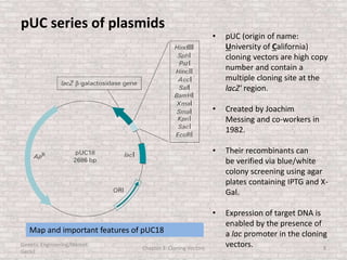 Chapter 3 cloning vectors | PPTX