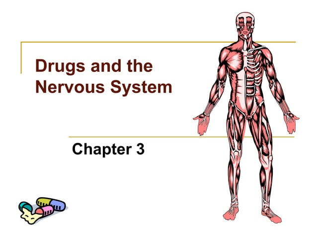 Chapter 3 Drugs And The Nervous System | PPT | Substance Abuse ...