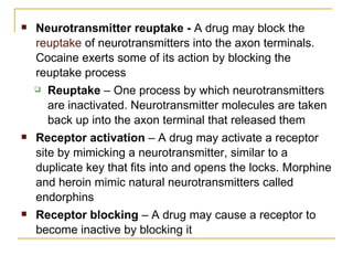 Chapter 3 Drugs And The Nervous System | PPT