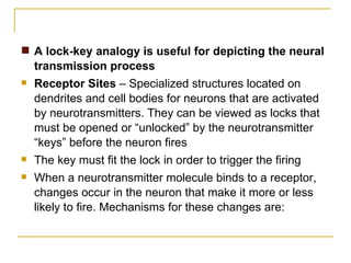 Chapter 3 Drugs And The Nervous System | PPT