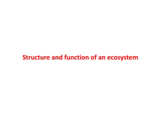 Chapter 3-Ecosystem.ppt.pptx
