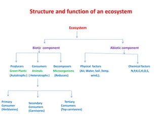 Chapter 3-Ecosystem.ppt.pptx