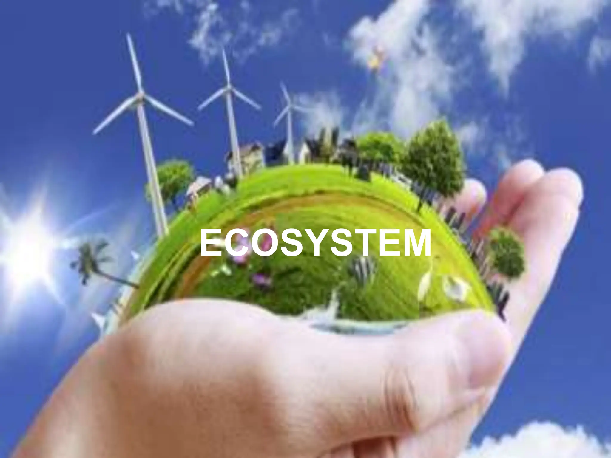 Chapter 3 - Ecosystem _ Biodiversity.ppt