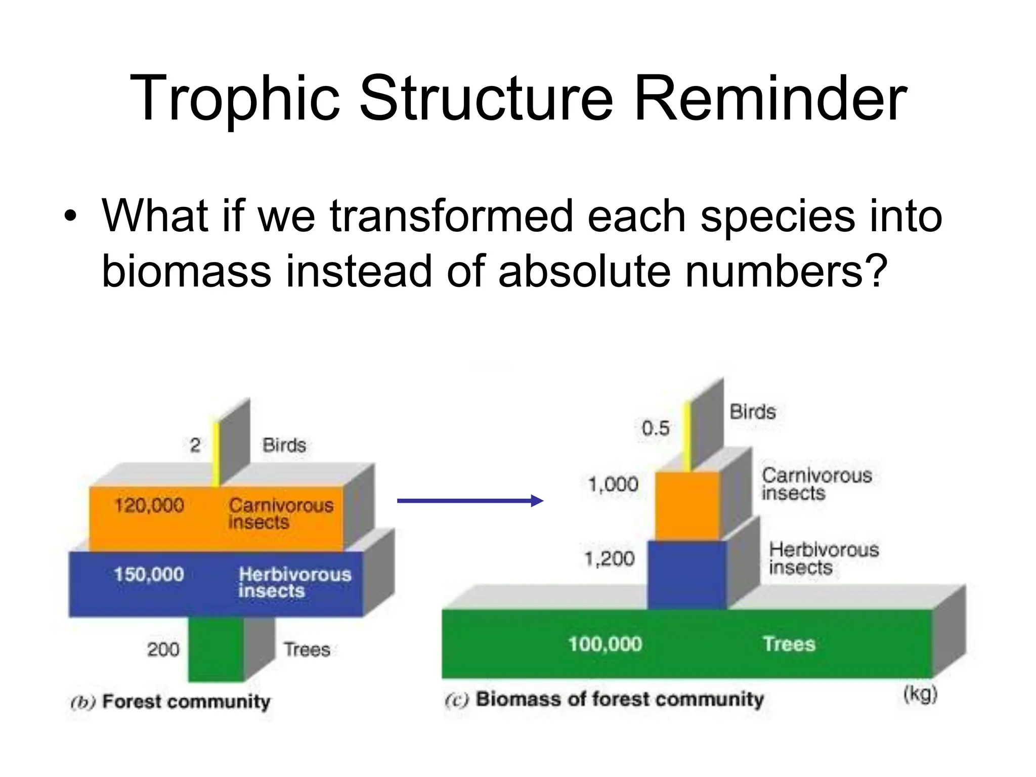 Chapter 3 - Ecosystem _ Biodiversity.ppt | Science