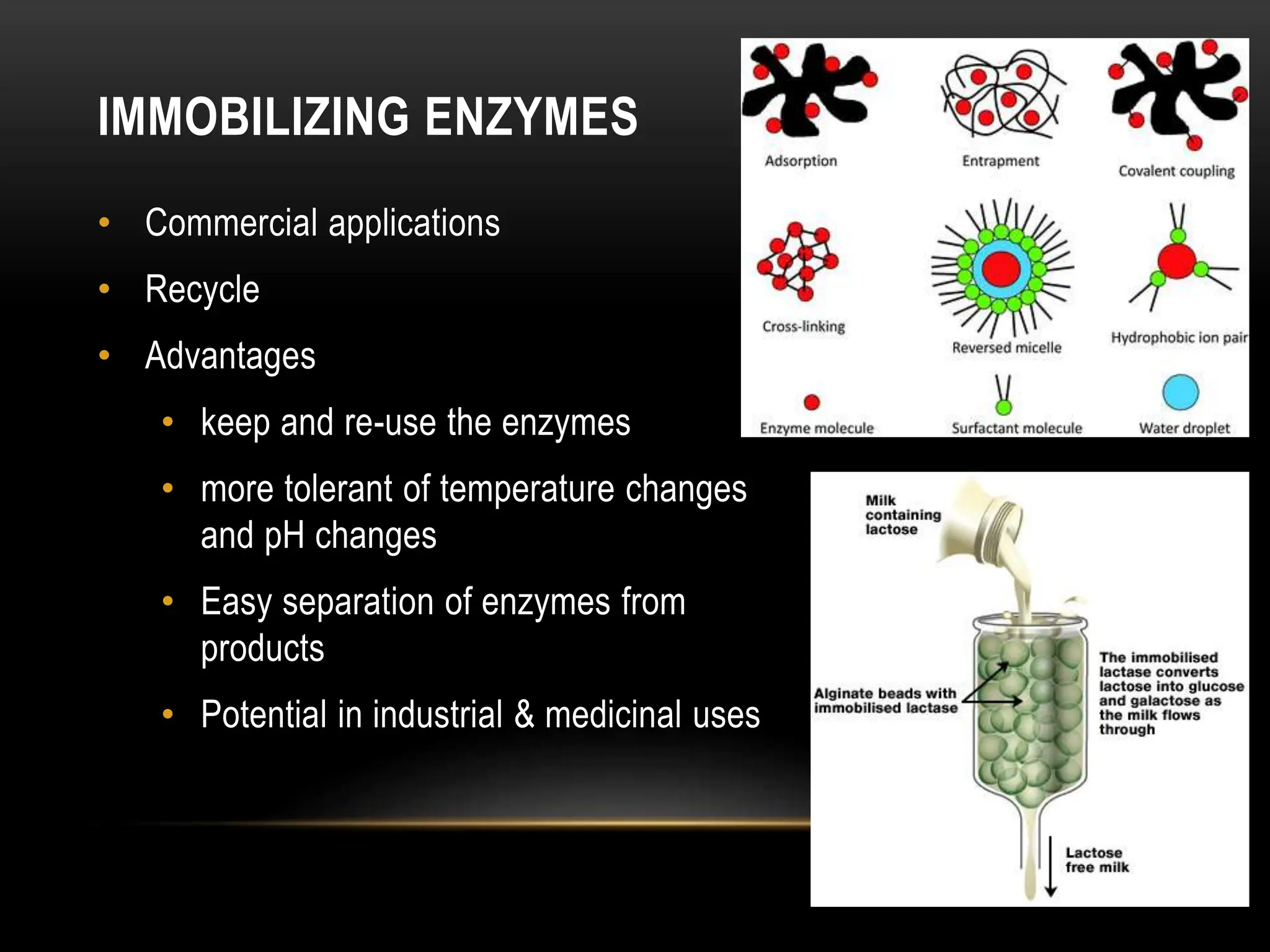 CHAPTER 3- CHARACTERISICS OF ENZYMES.pptx