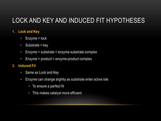 CHAPTER 3- CHARACTERISICS OF ENZYMES.pptx