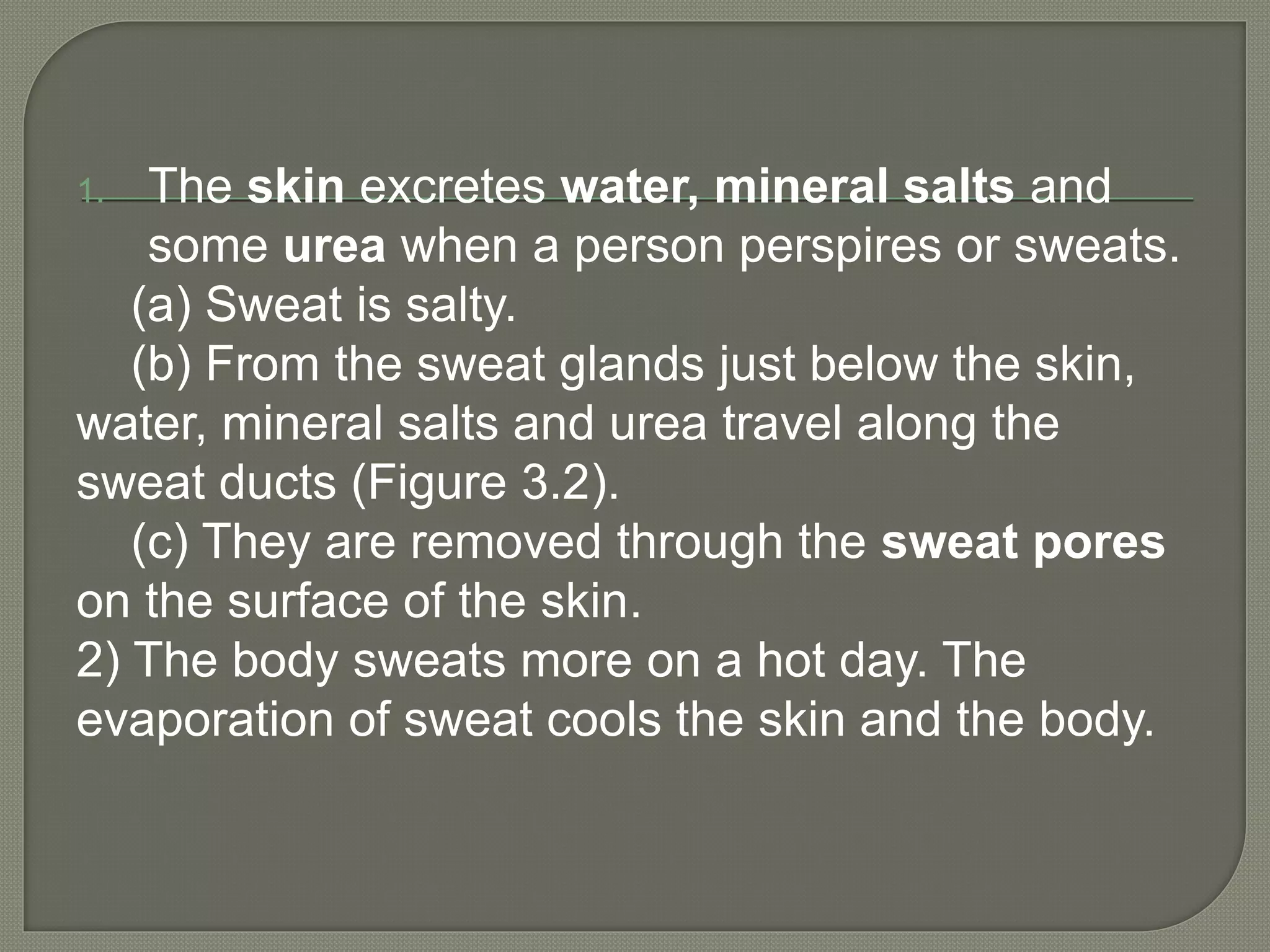 Form 3 Science -Chapter 3 excretion | PPTX