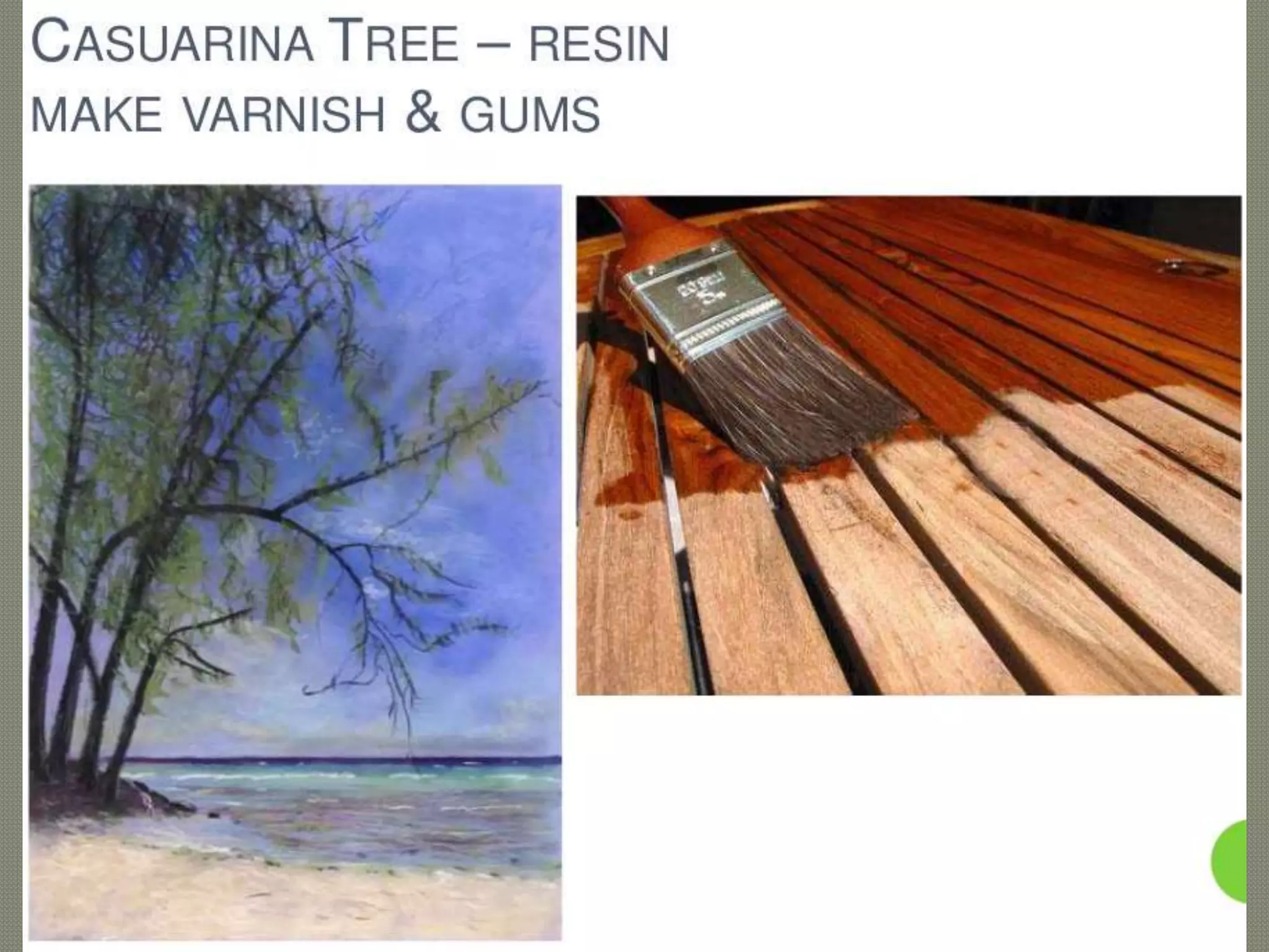 Form 3 Science -Chapter 3 excretion | PPTX