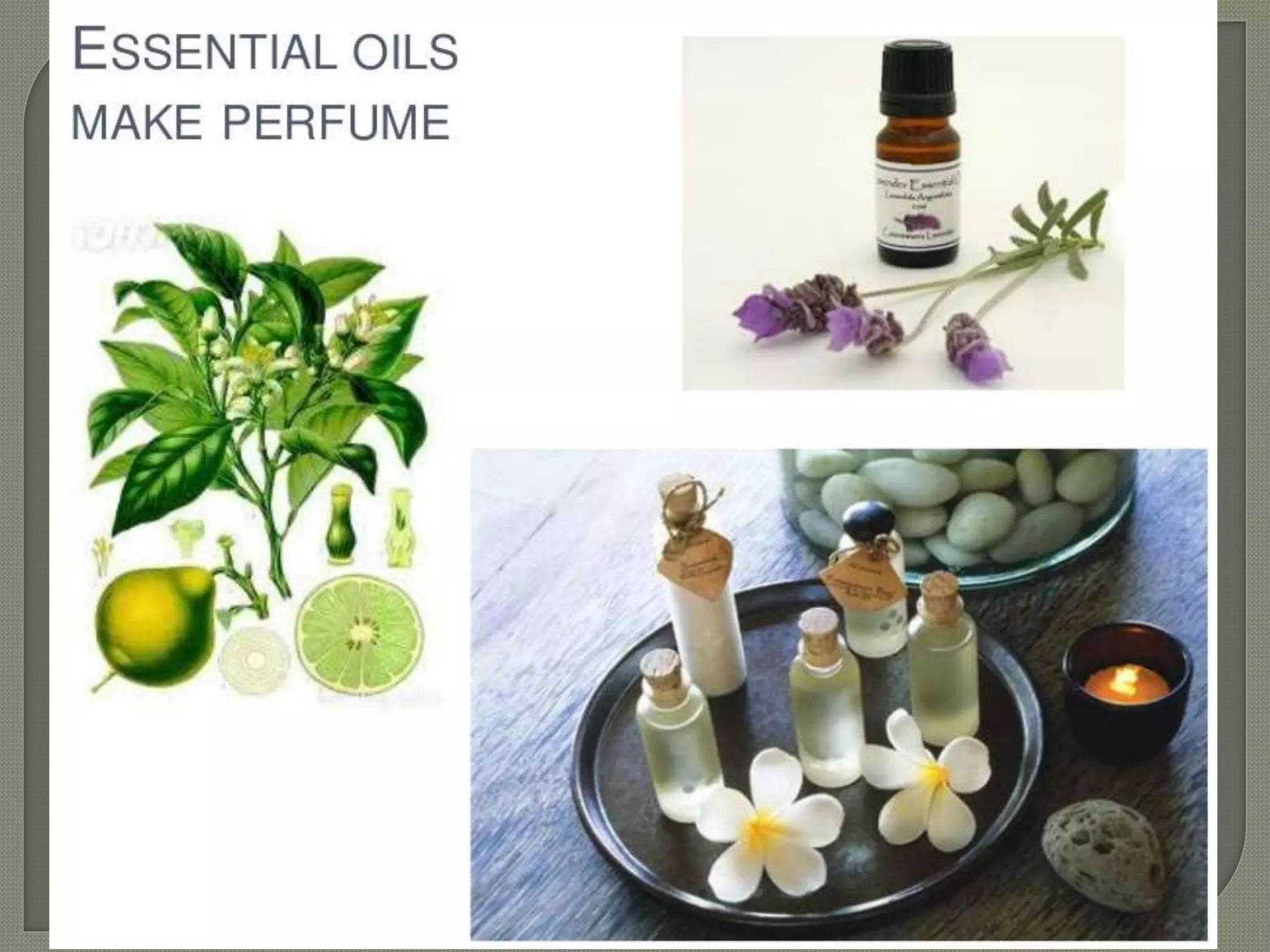 Form 3 Science -Chapter 3 excretion | PPTX