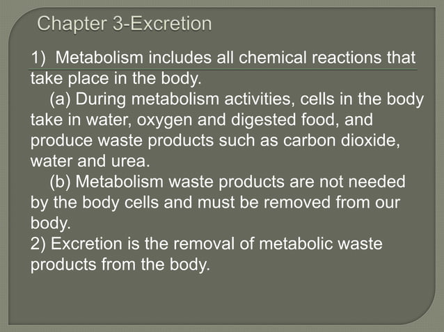 Form 3 Science -Chapter 3 excretion | PPT