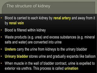 Form 3 Science -Chapter 3 excretion | PPTX