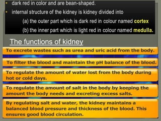 Form 3 Science -Chapter 3 excretion | PPTX