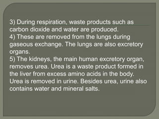 Form 3 Science -Chapter 3 excretion | PPTX