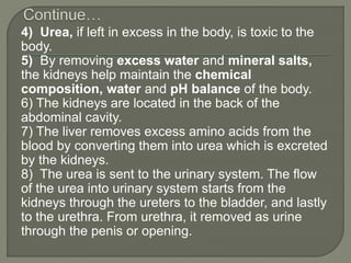 Form 3 Science -Chapter 3 excretion | PPTX