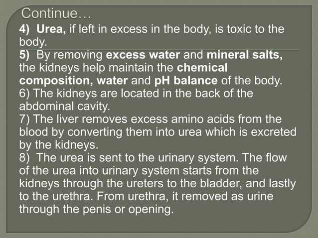 Form 3 Science -Chapter 3 excretion | PPT