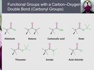Chapter 3 - Functional Groups | PDF | Chemistry | Science