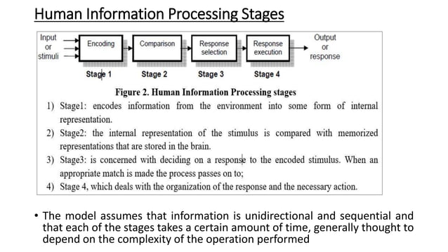 Chapter 3 - HCI Human Factors Cognition Perception.pptx | Artificial Intelligence | Technology ...