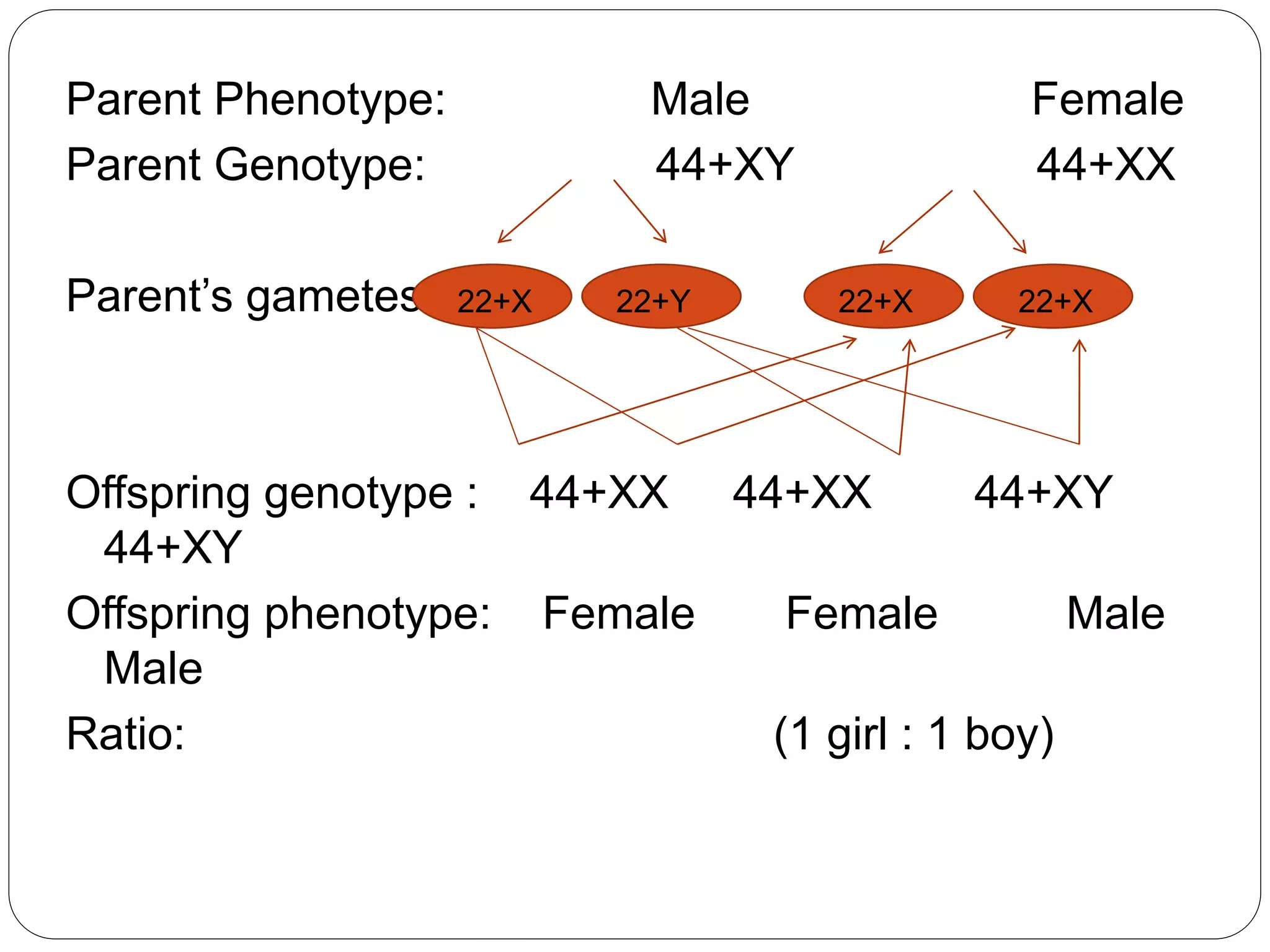 Chapter 3 heredity and variation | PPTX