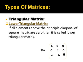 Chapter 3-Introduction-.pptx