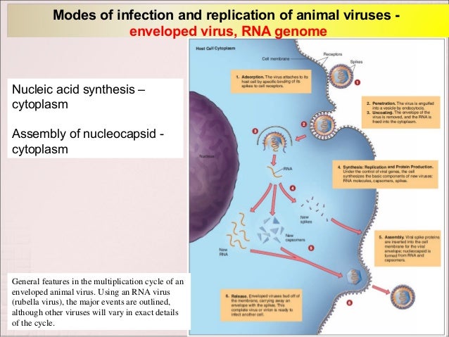 Chapter 3 multiplication
