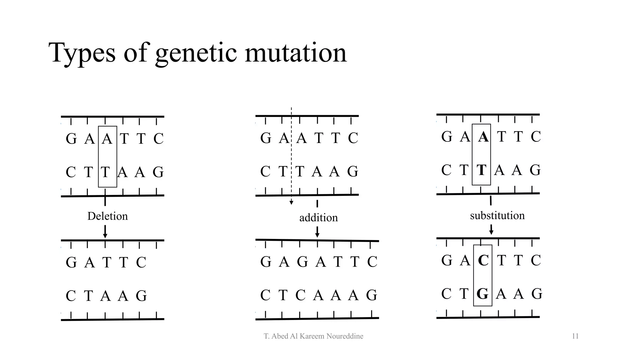Chapter 3- Mutation and environment.pdf | Chemistry | Science