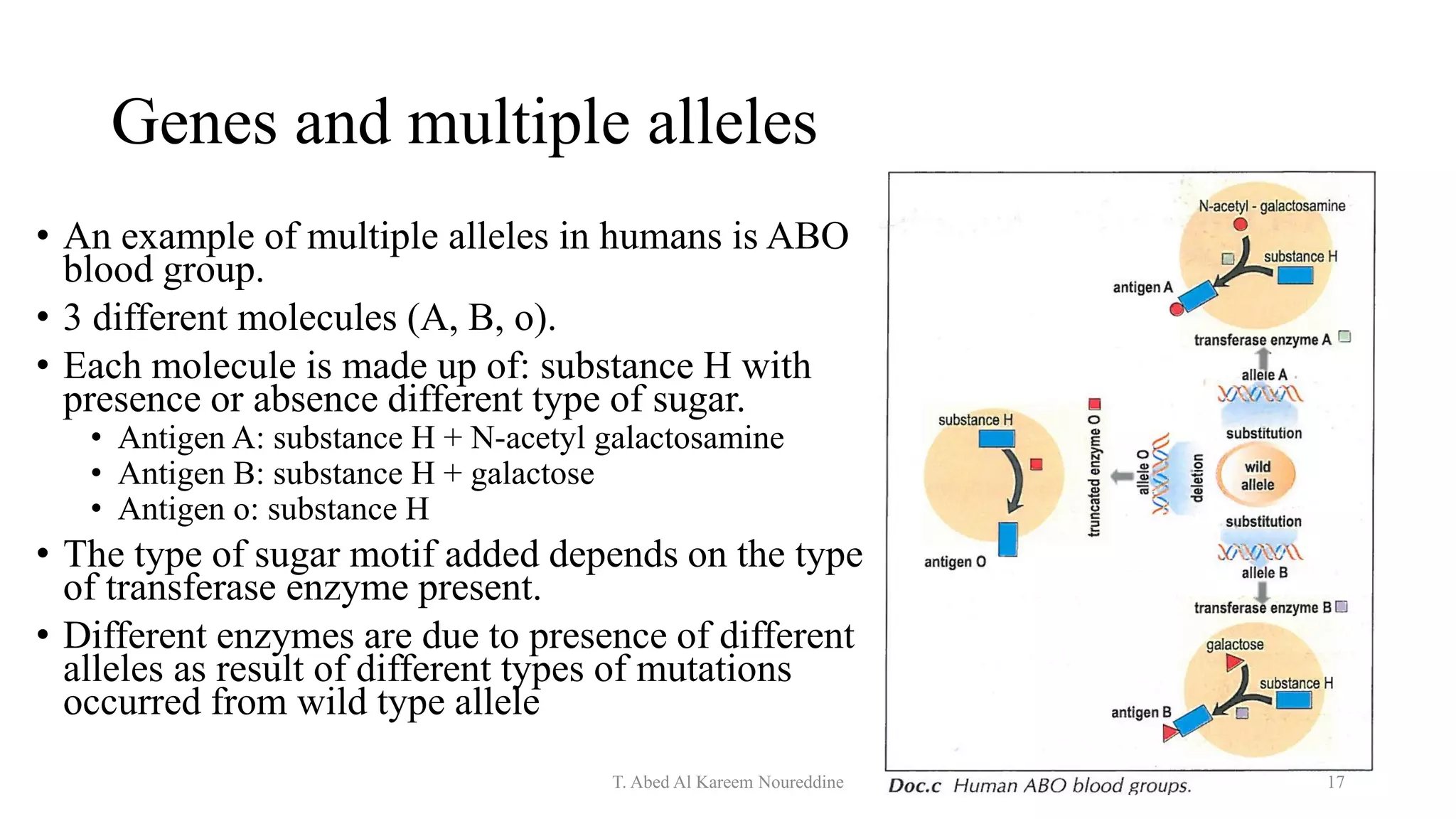Chapter 3- Mutation and environment.pdf | Chemistry | Science