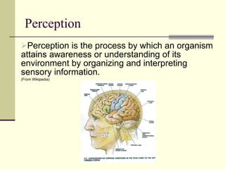 Chapter 3 perception communication (pp) | PPT