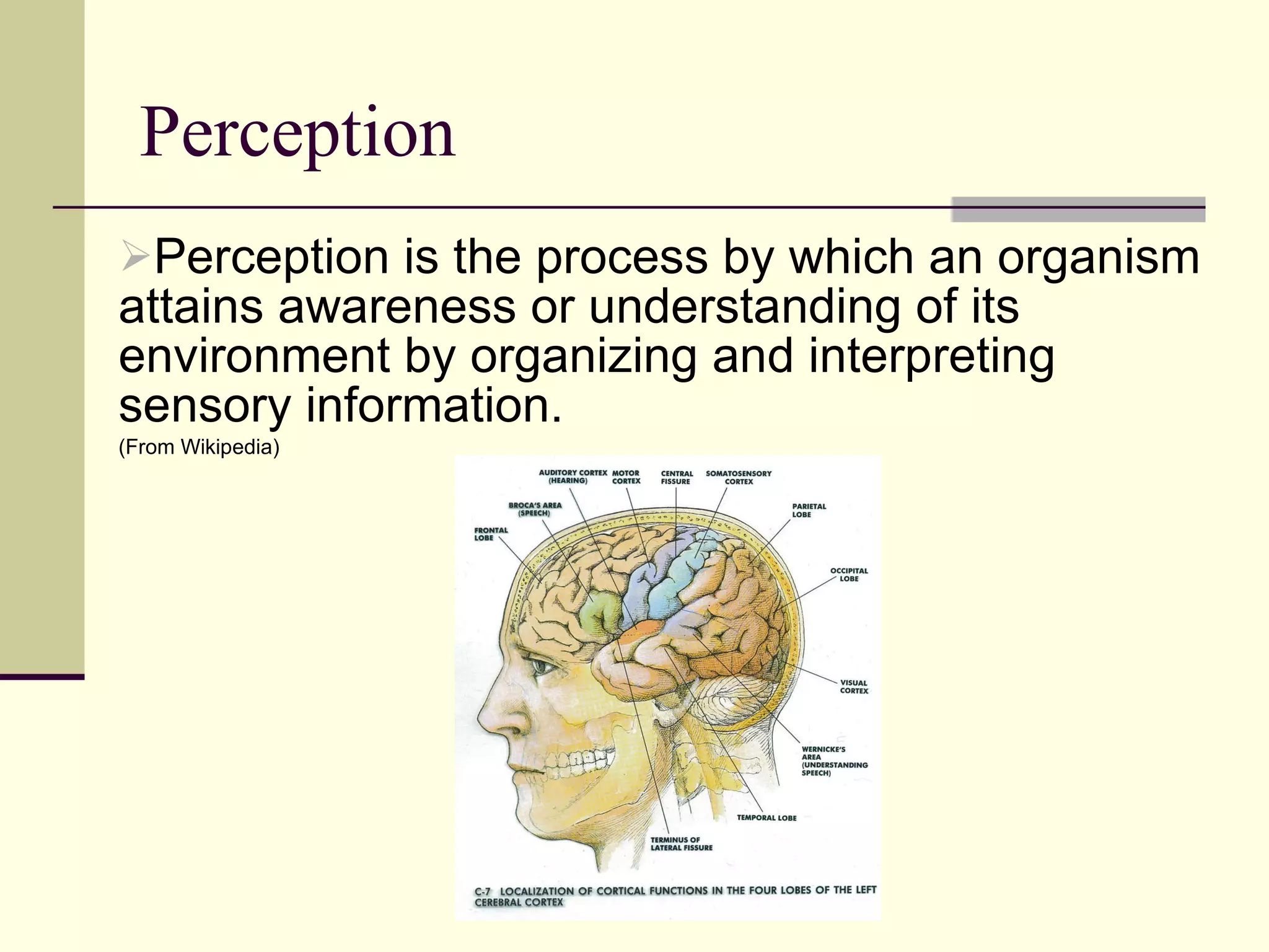 Chapter 3 perception communication (pp) | PPT