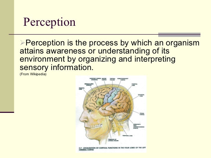 Chapter 3 perception communication (pp)