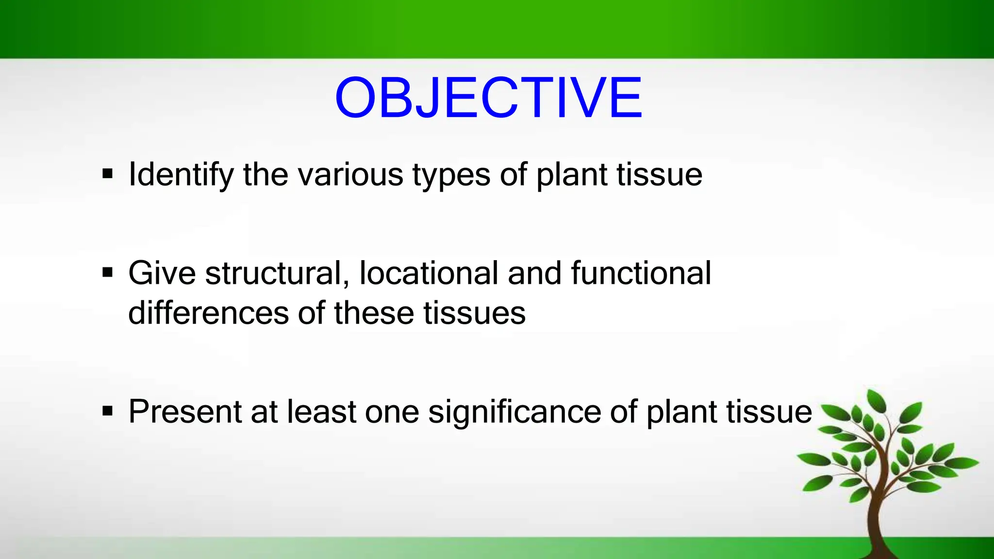 chapter3-planttissues-1709221555708.pptx