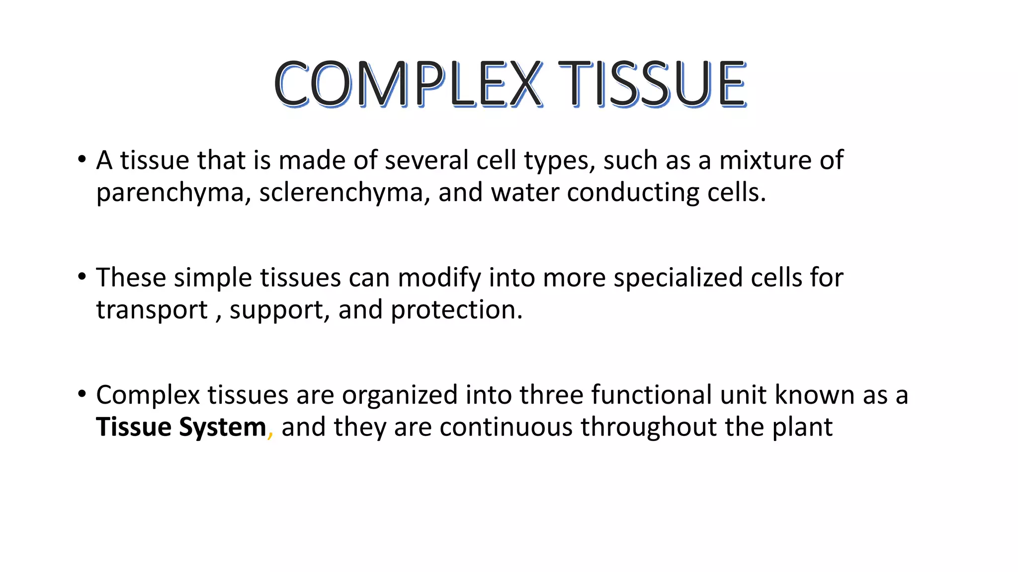 PLANT TISSUES | PPTX