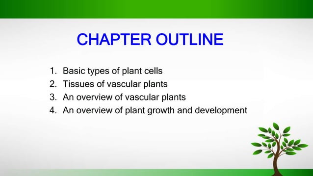PLANT TISSUES | PPTX