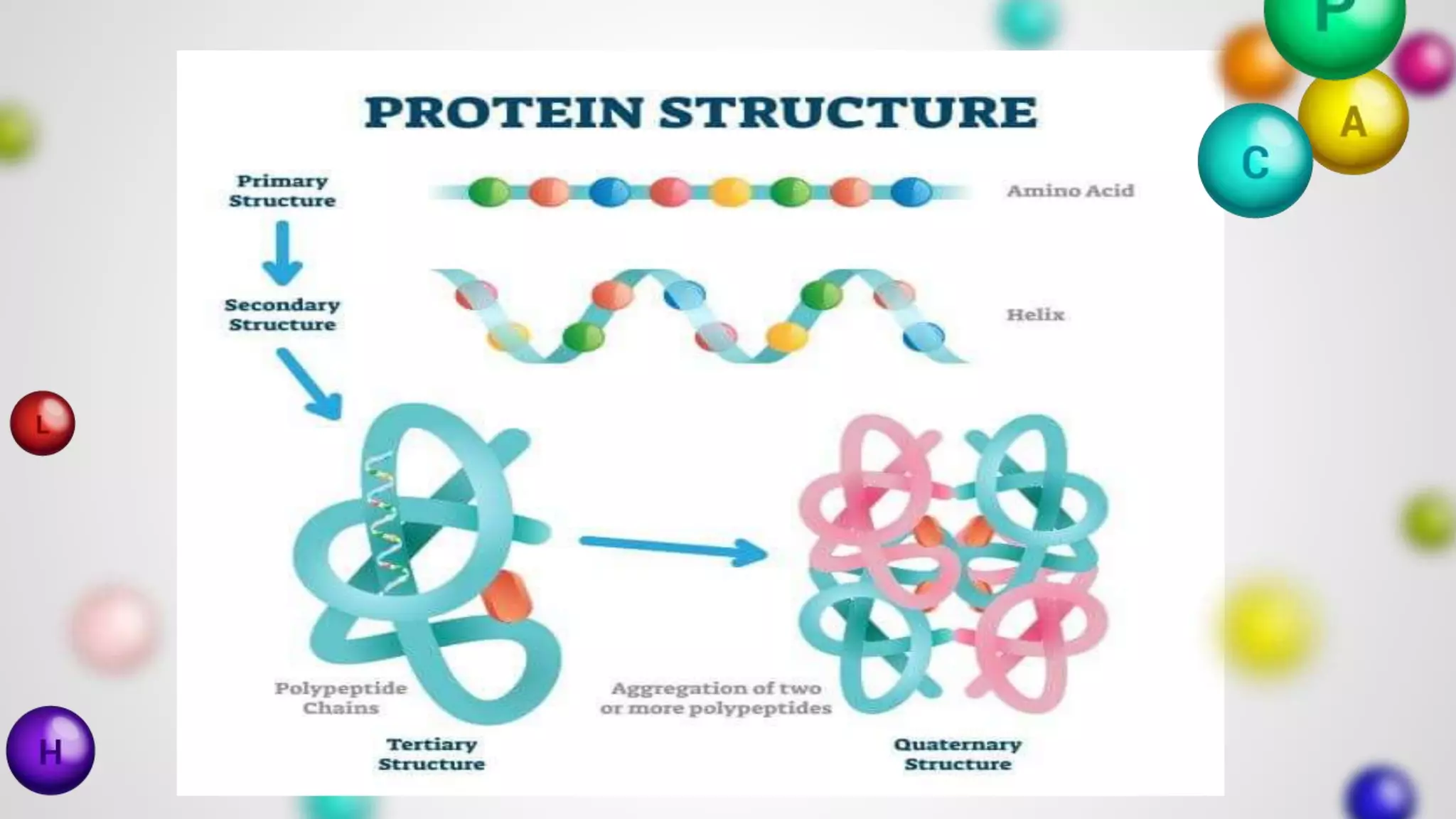 Proteins: Biochemistry | PPTX