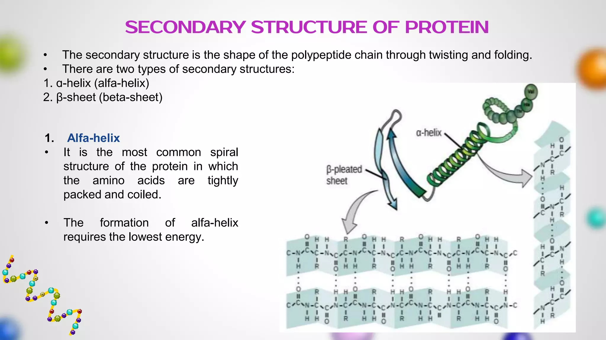 Proteins: Biochemistry | PPTX
