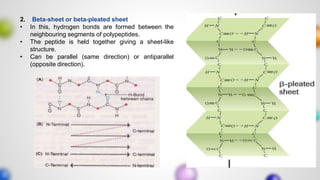 Proteins: Biochemistry | PPTX | Chemistry | Science
